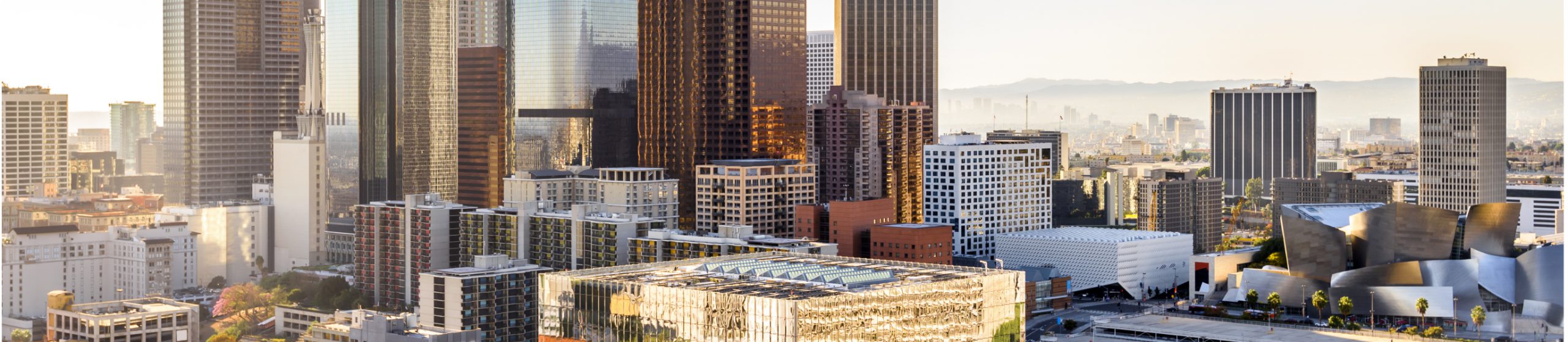 Built Environment - Hamilton Mayer International